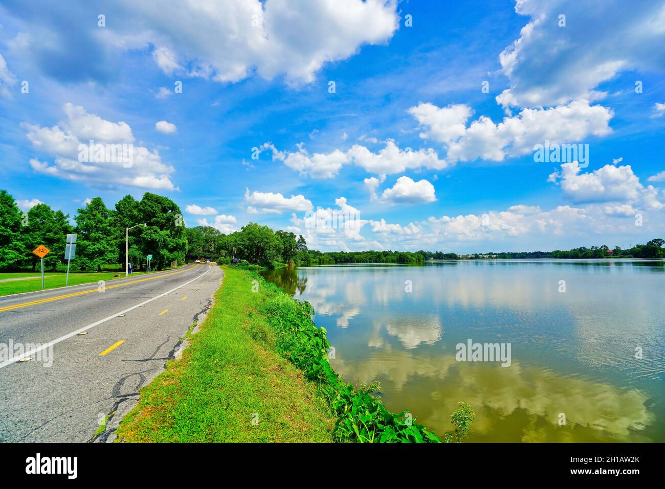 View of the riverside and swamp in the area of Baton Rouge, Louisiana ...