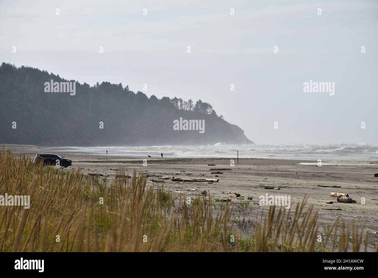 Cape Disappointment seen from Seaview, Long Beach peninsula, Washington ...
