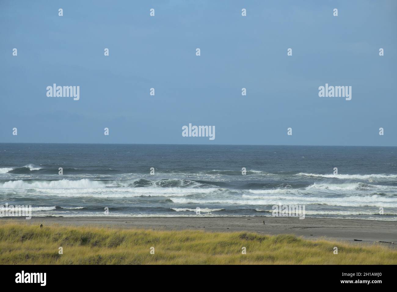 Views of the beach and dunes from The Pickled Fish Restaurant at the ...