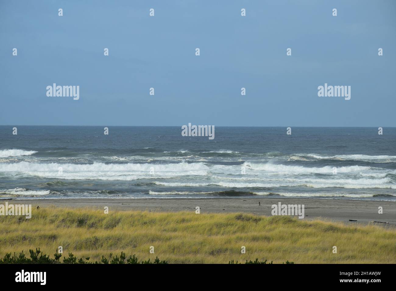 Views of the beach and dunes from The Pickled Fish Restaurant at the ...