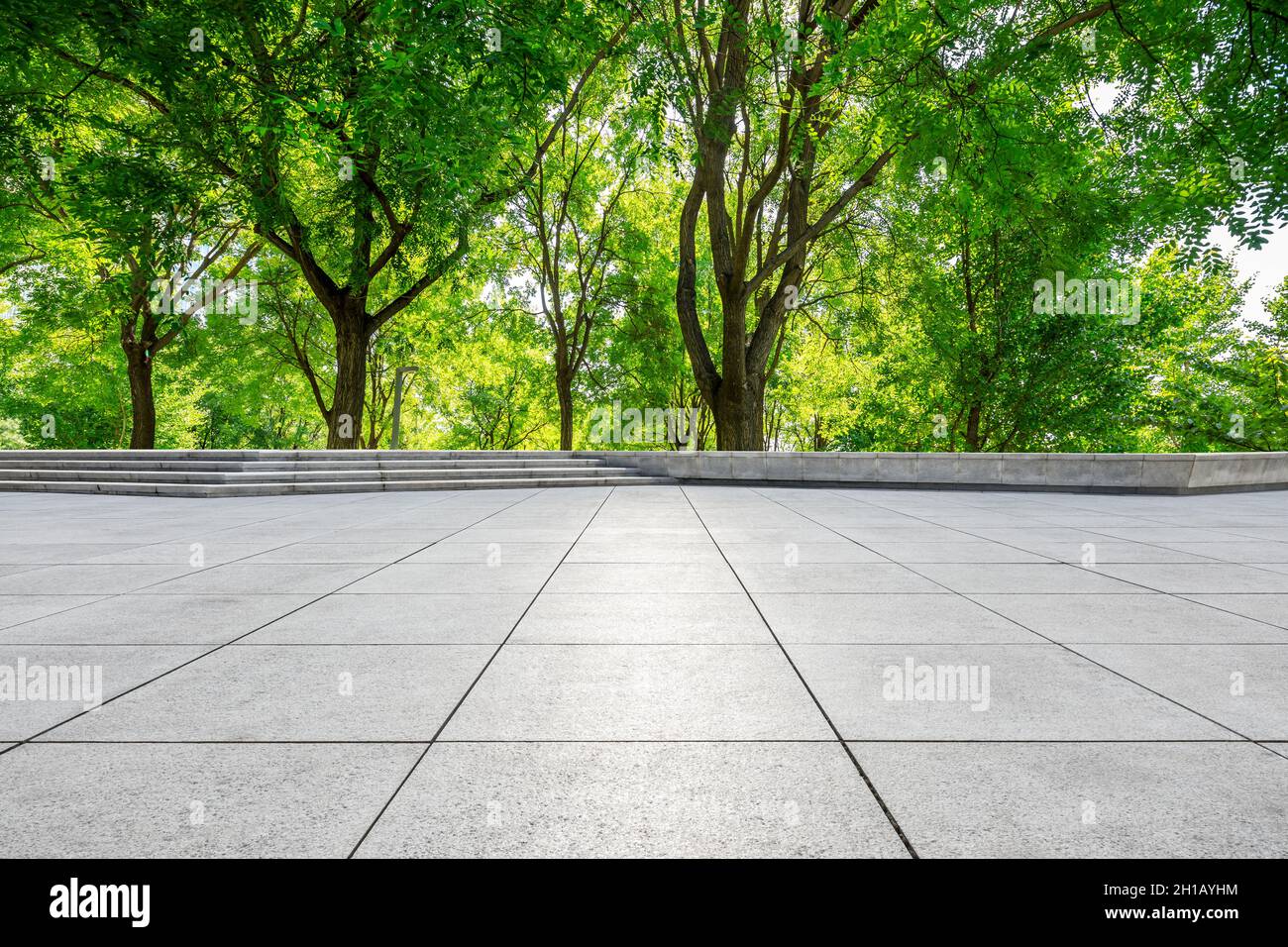 City green forest in hi-res stock photography and images - Alamy