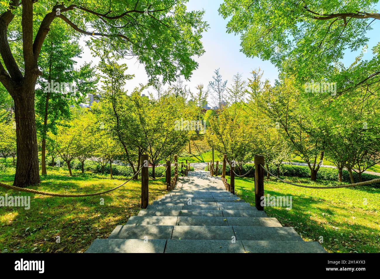 Beautiful city park hi-res stock photography and images - Alamy