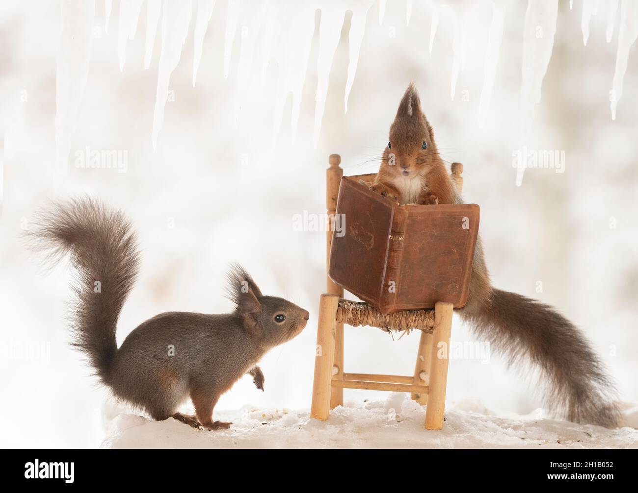 Student standing on chair hi-res stock photography and images - Alamy