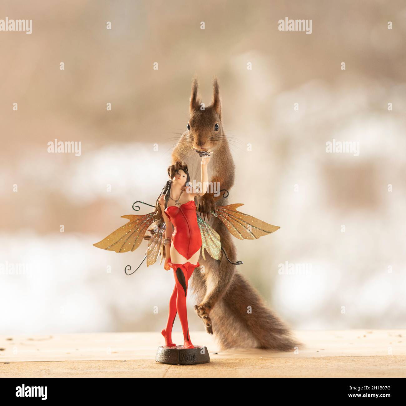 Fairy tale squirrel hi-res stock photography and images - Alamy
