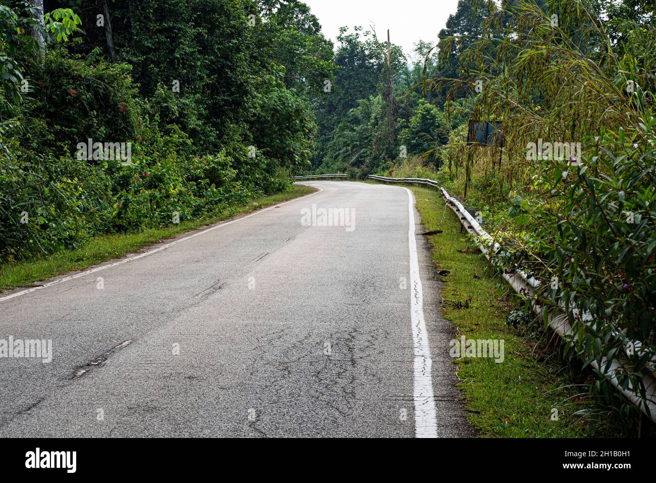 A secluded road with a bend at the end. Trees and bushes on both sides ...