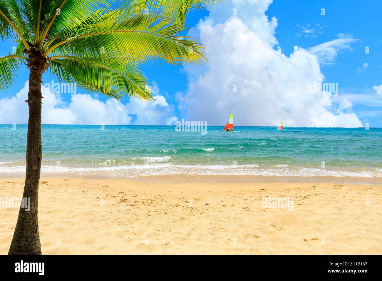 Beautiful natural scenery by the sea Stock Photo - Alamy