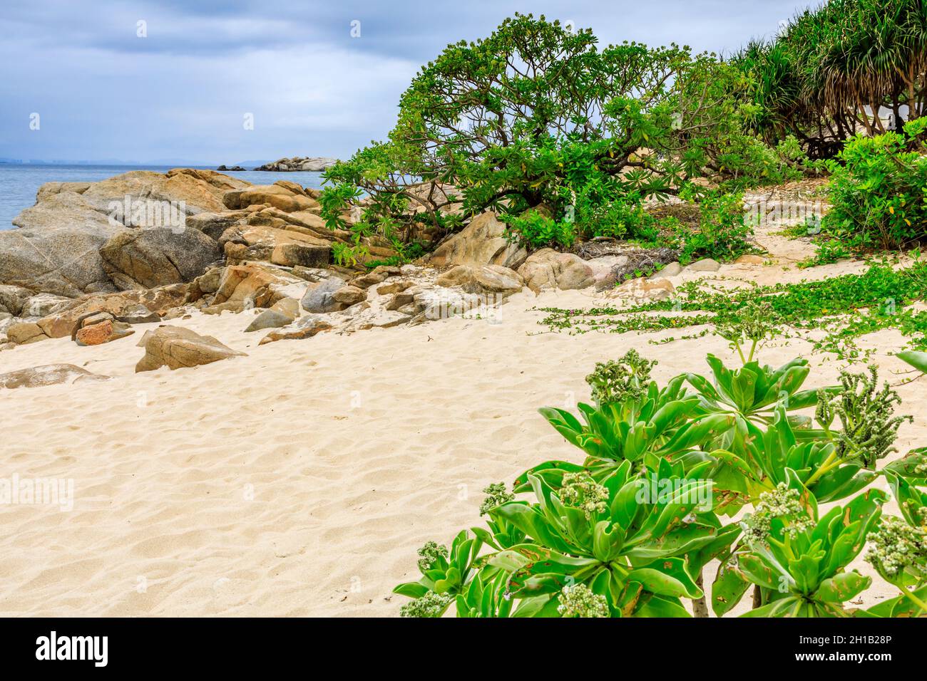 Beach and green tree with rocks by the sea.beautiful seaside scenery ...