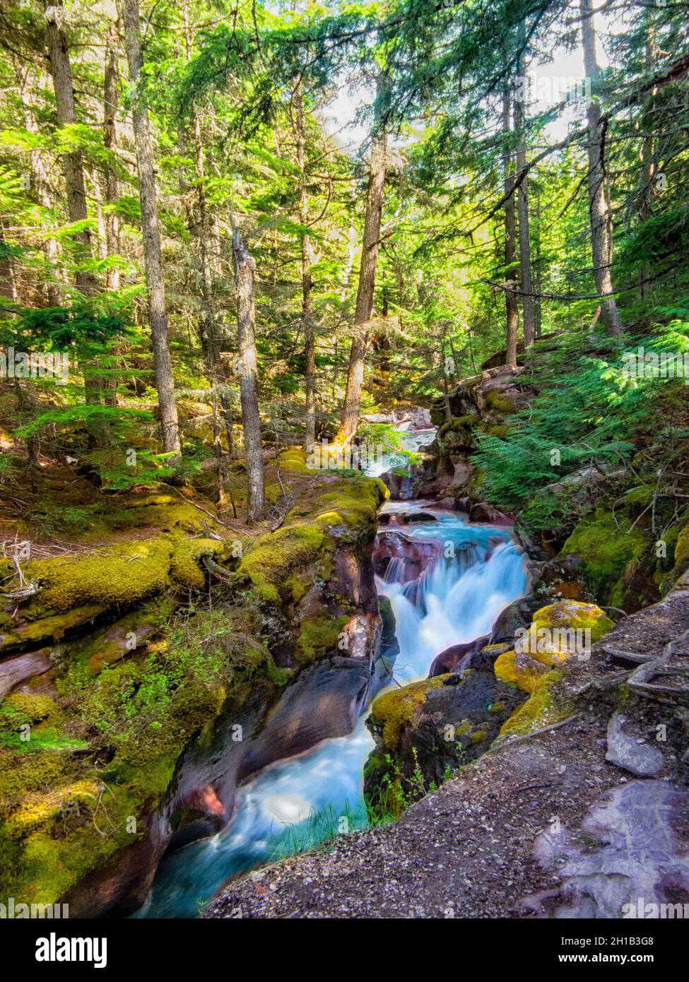 Stream in Glacier National Park Stock Photo - Alamy