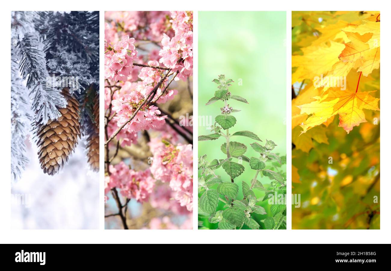 Four seasons of year. Set of vertical nature banners with winter ...