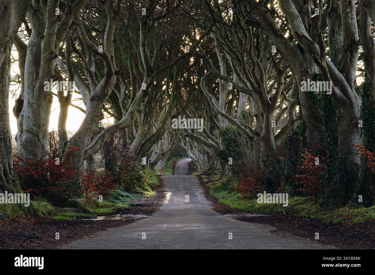 Ballymoney, county antrim hi-res stock photography and images - Alamy