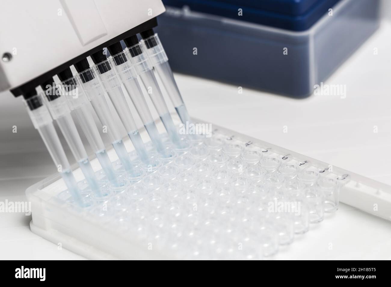 Multichannel Pipette For 96 Well Plate at Marcus Lewis blog