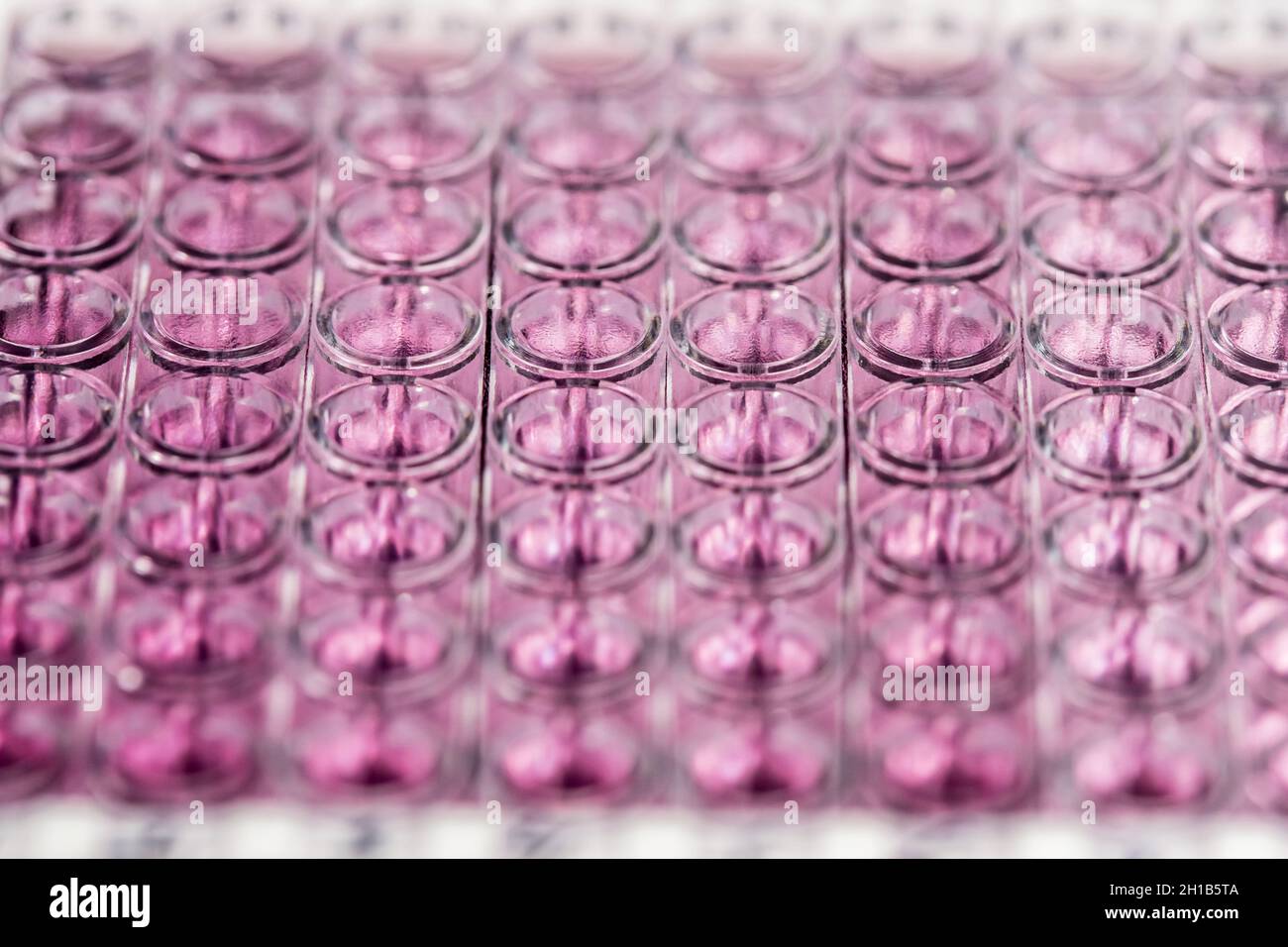 pink bipoules for research Stock Photo - Alamy