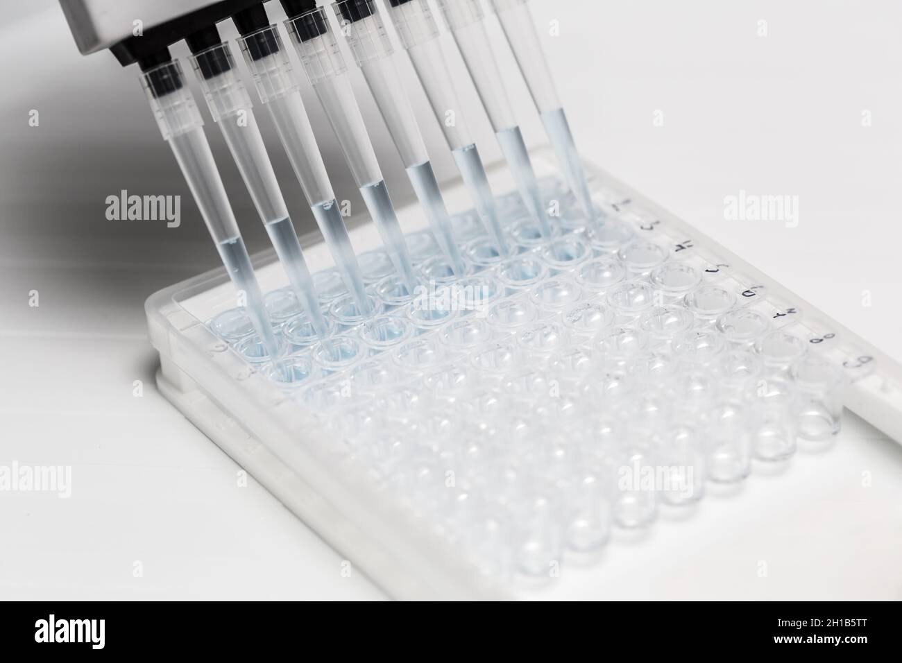 Pipette depositing samples into a 96 well micro-plate Stock Photo - Alamy