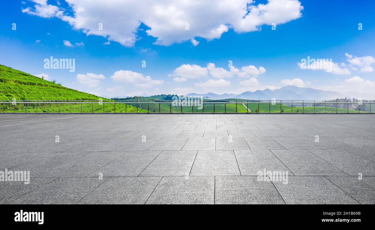 Empty square floor and green tea garden under blue sky Stock Photo - Alamy