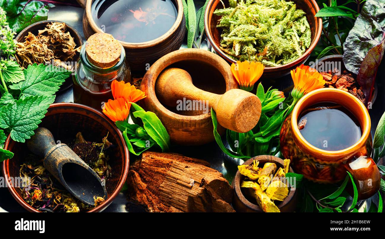 Medicinal herbs, plants and roots in herbal medicine.Medicinal herbs ...