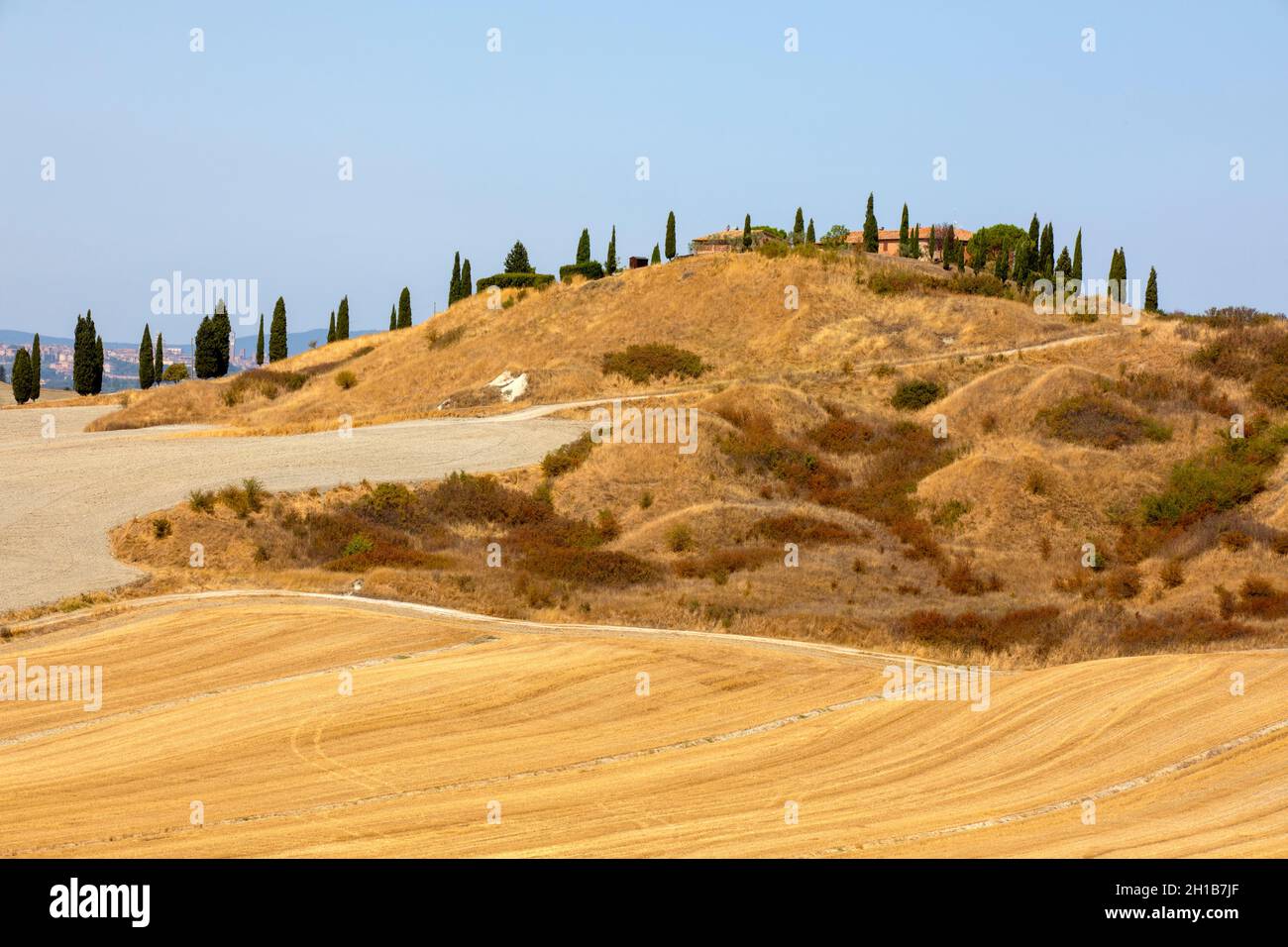 Typical scenary of Crete Senesi, Asciano, Siena, Tuscany, Italy Stock ...