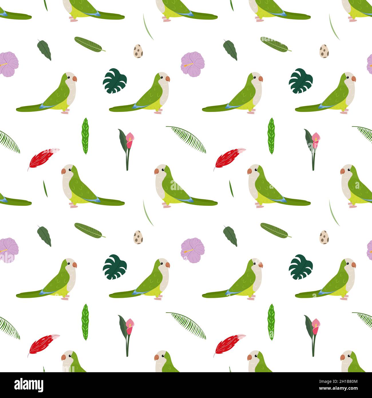 Seamless pattern with monk parakeet Quaker, tropical leaves and flowers ...