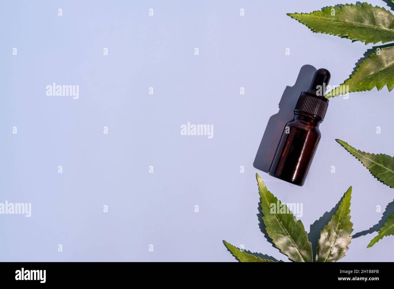 Dark Glass bottle with herbal cbd oil, tincture and hemp leaves on light blue background ...