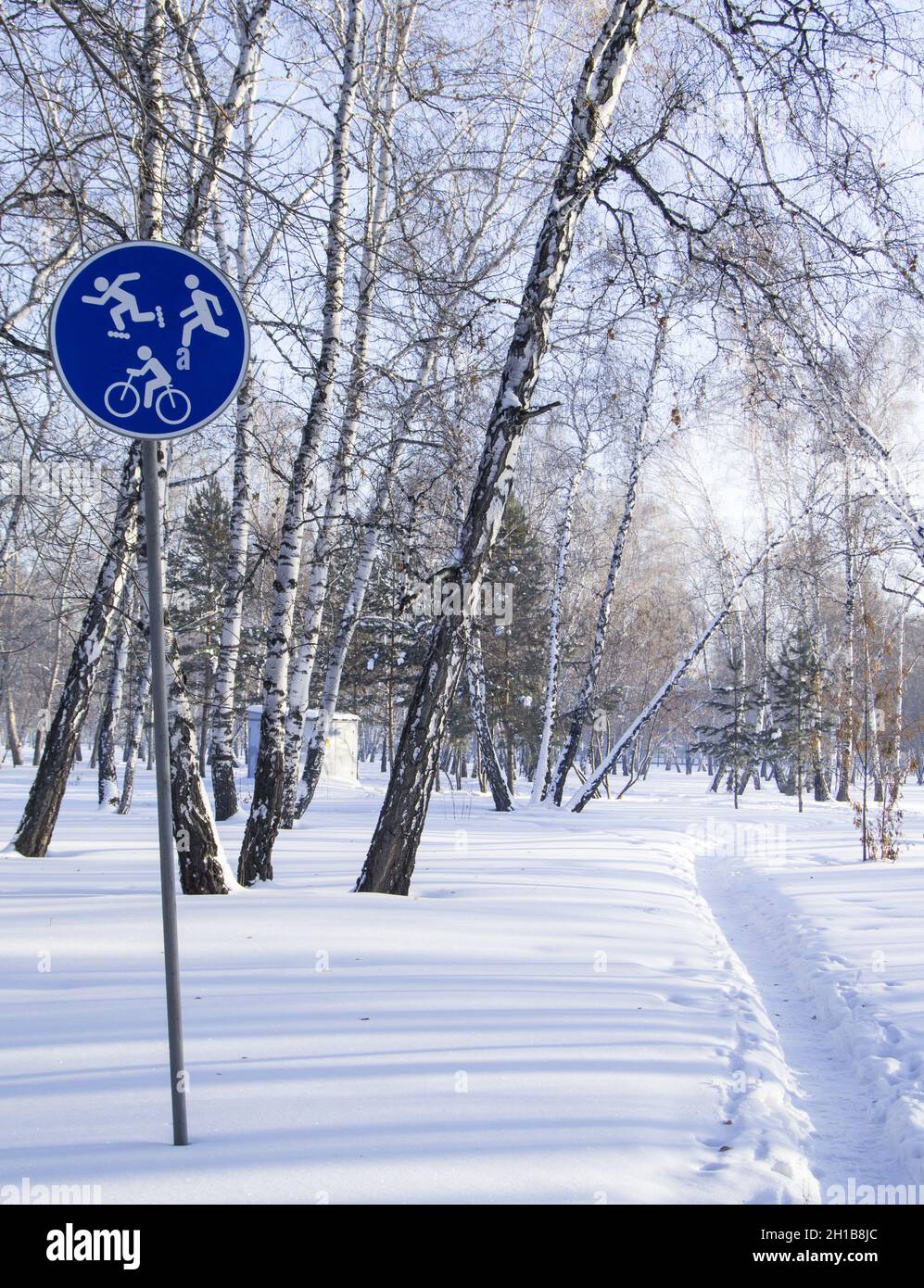 A path in the snow, trees in a city park on a winter afternoon, shadows ...