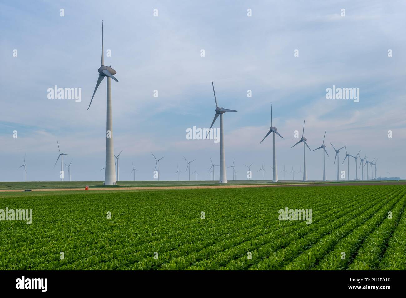 Windmills for electric power production Netherlands Flevoland, Wind ...