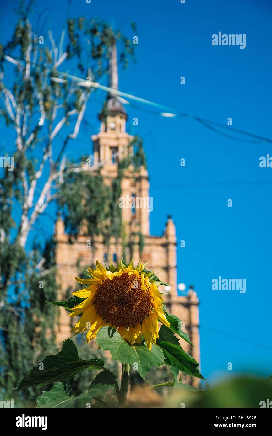 Latvian Academy of Sciences, Riga, Latvia. Stalin-era skyscraper ...