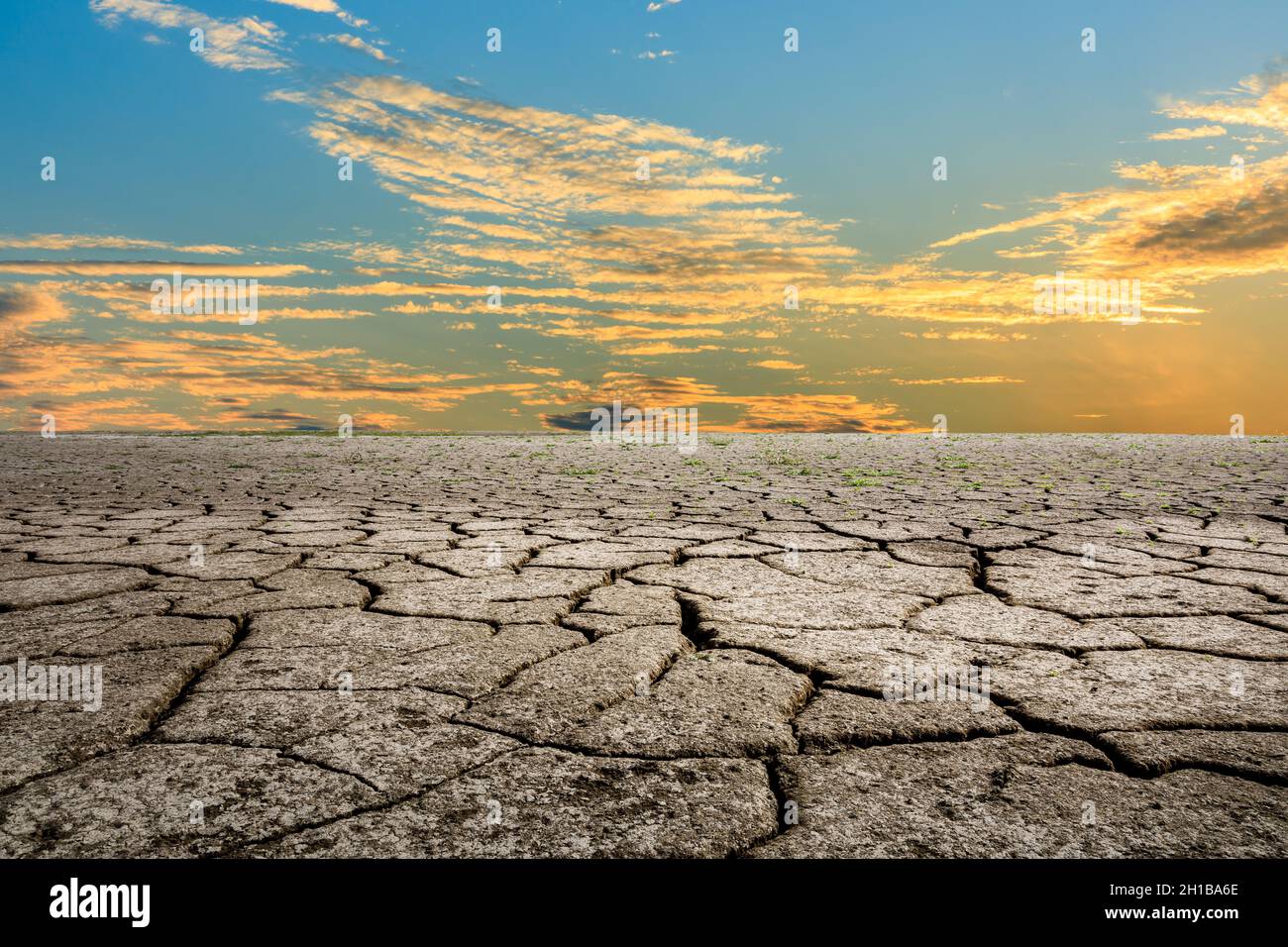 Dry cracked land landscape,drought concept Stock Photo - Alamy