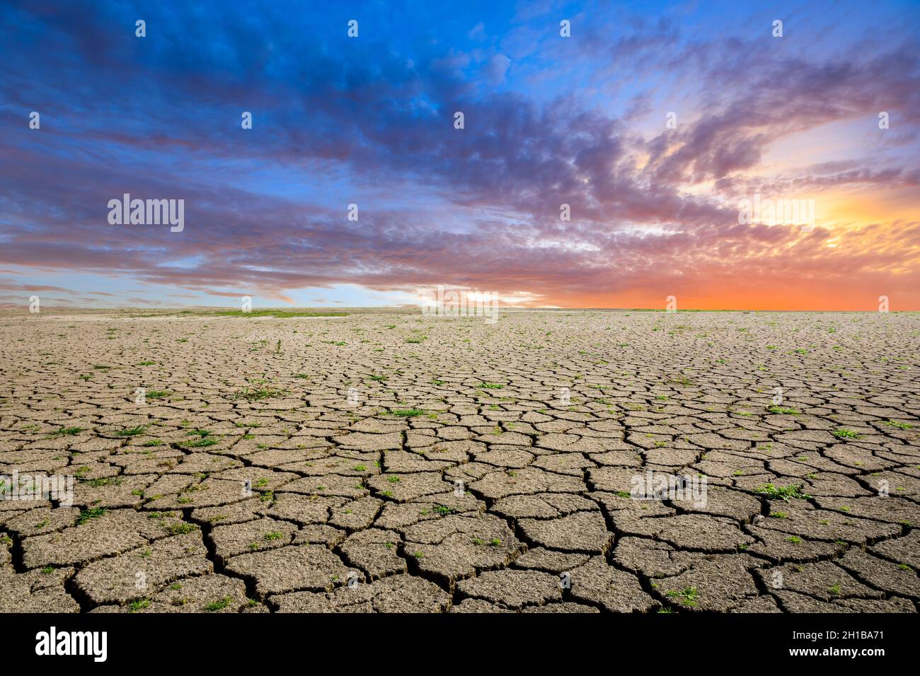 Dry cracked land landscape,drought concept Stock Photo - Alamy