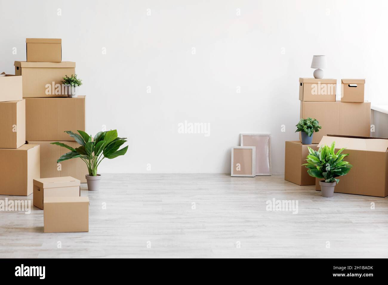 Stack of different cardboard boxes with things and green plants in pots ...