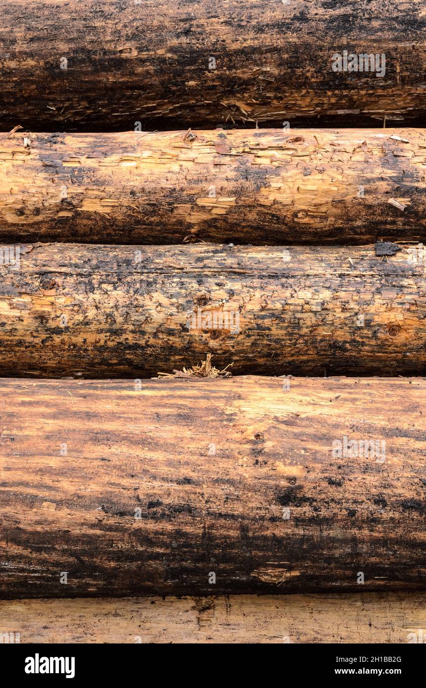 Lumber site hi-res stock photography and images - Alamy