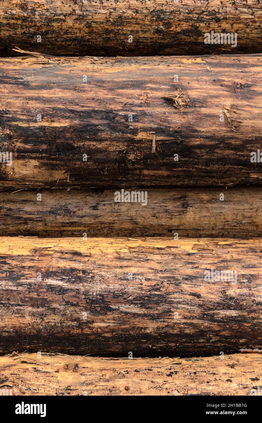 Long timber transport hi-res stock photography and images - Alamy