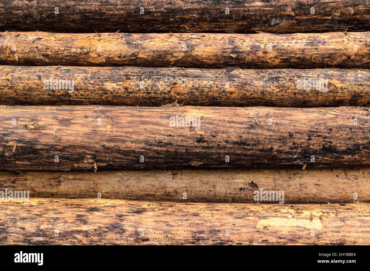 Logging site hi-res stock photography and images - Alamy