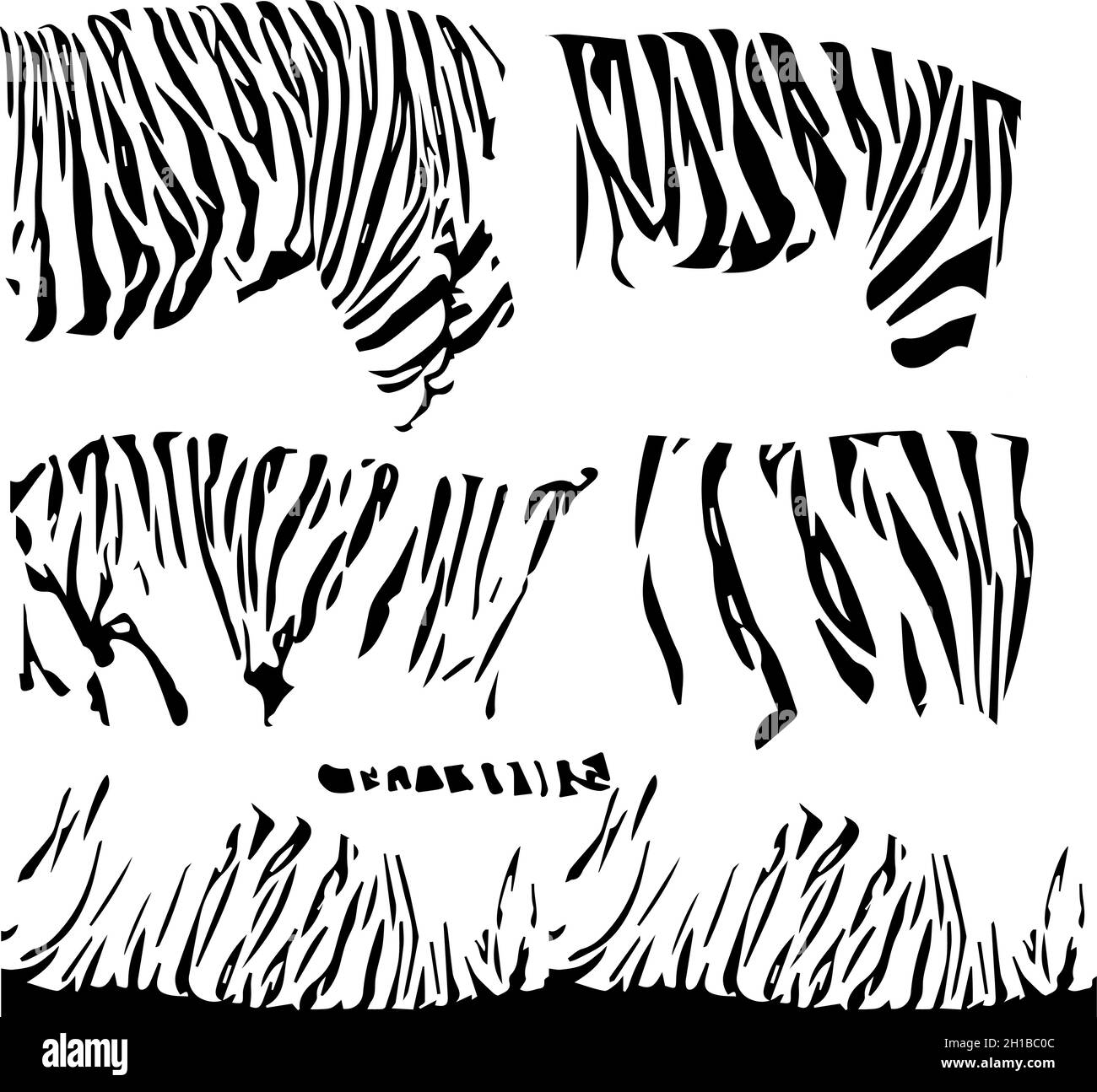 Tiger Stripe Black And White