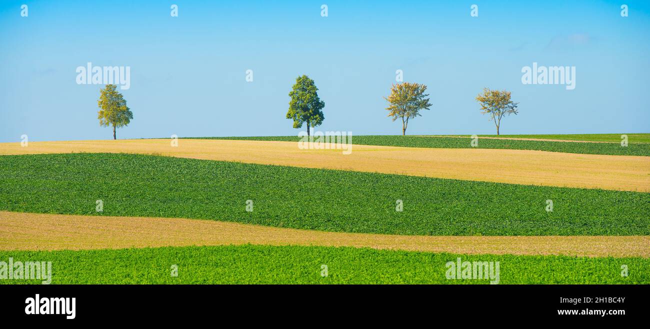 France wheat vine hi-res stock photography and images - Alamy