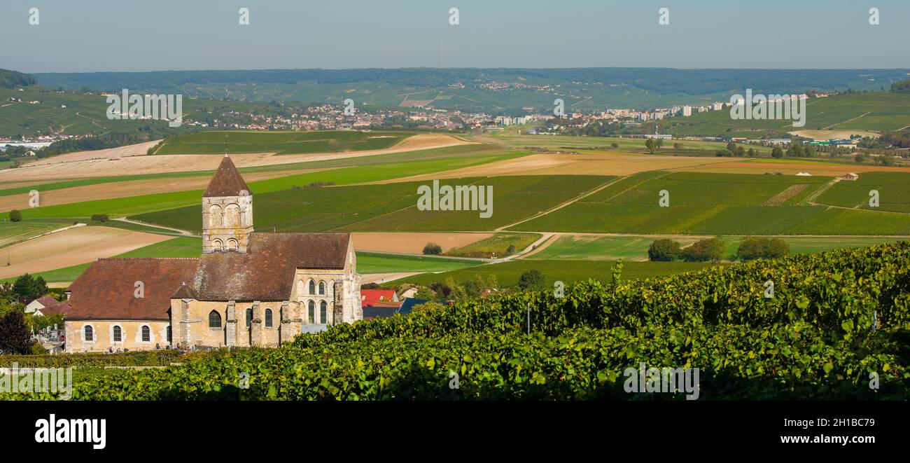 FRANCE, MARNE (51) CHAMPAGNE REGION. CUIS VINEYARD Stock Photo - Alamy
