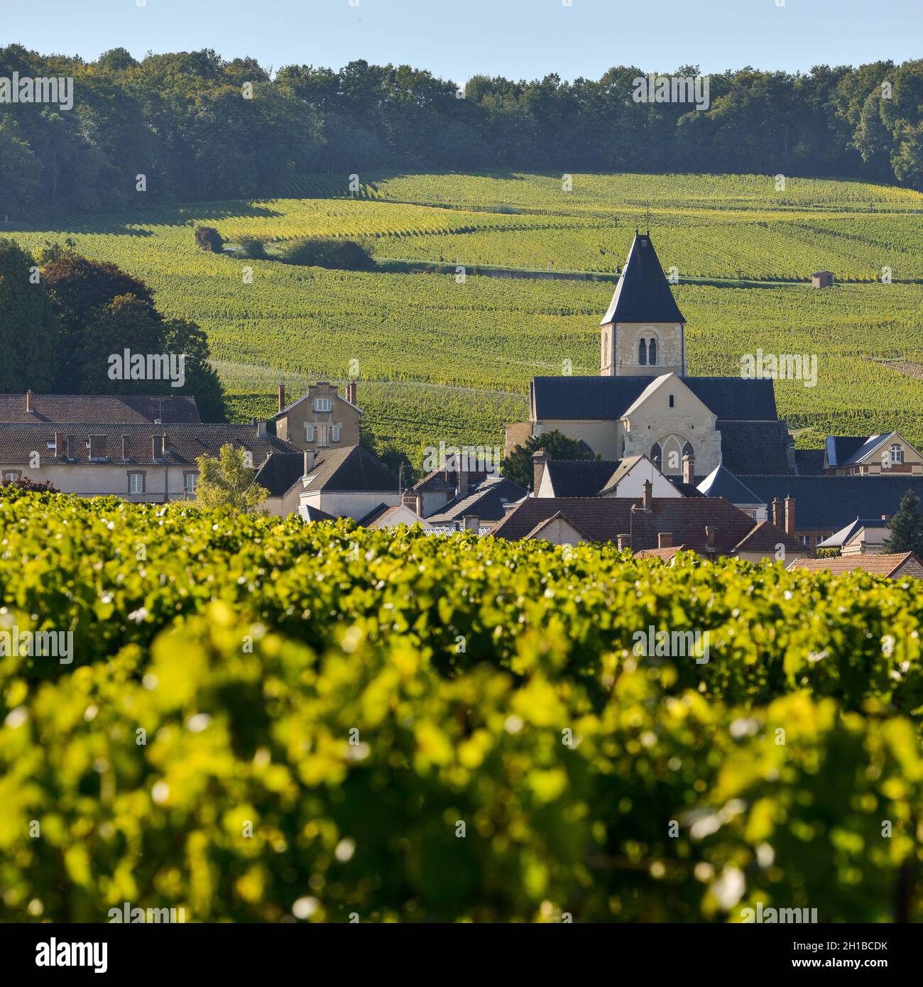 Drinking champagne and france hi-res stock photography and images - Alamy