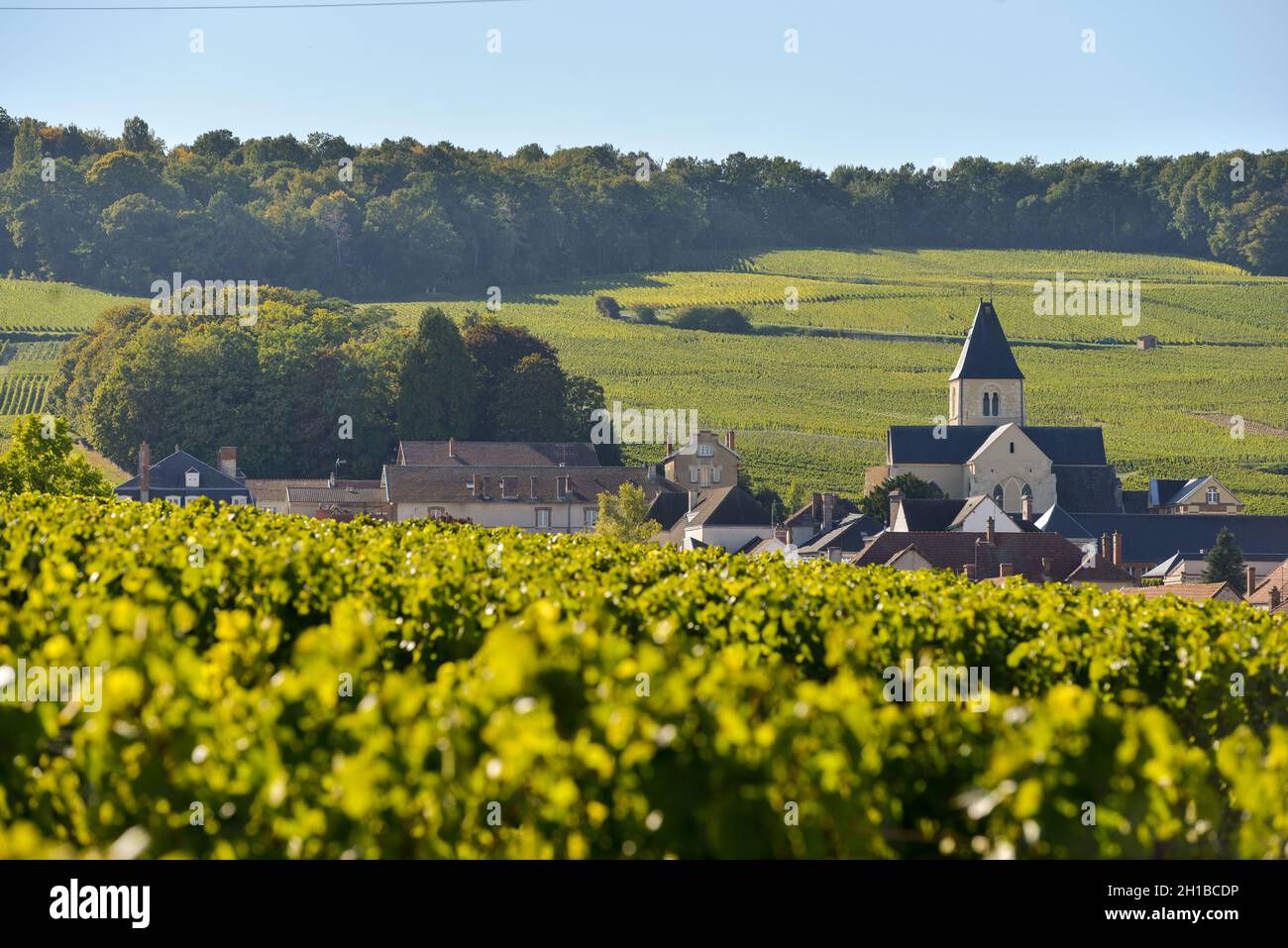 Ardennes region hi-res stock photography and images - Alamy