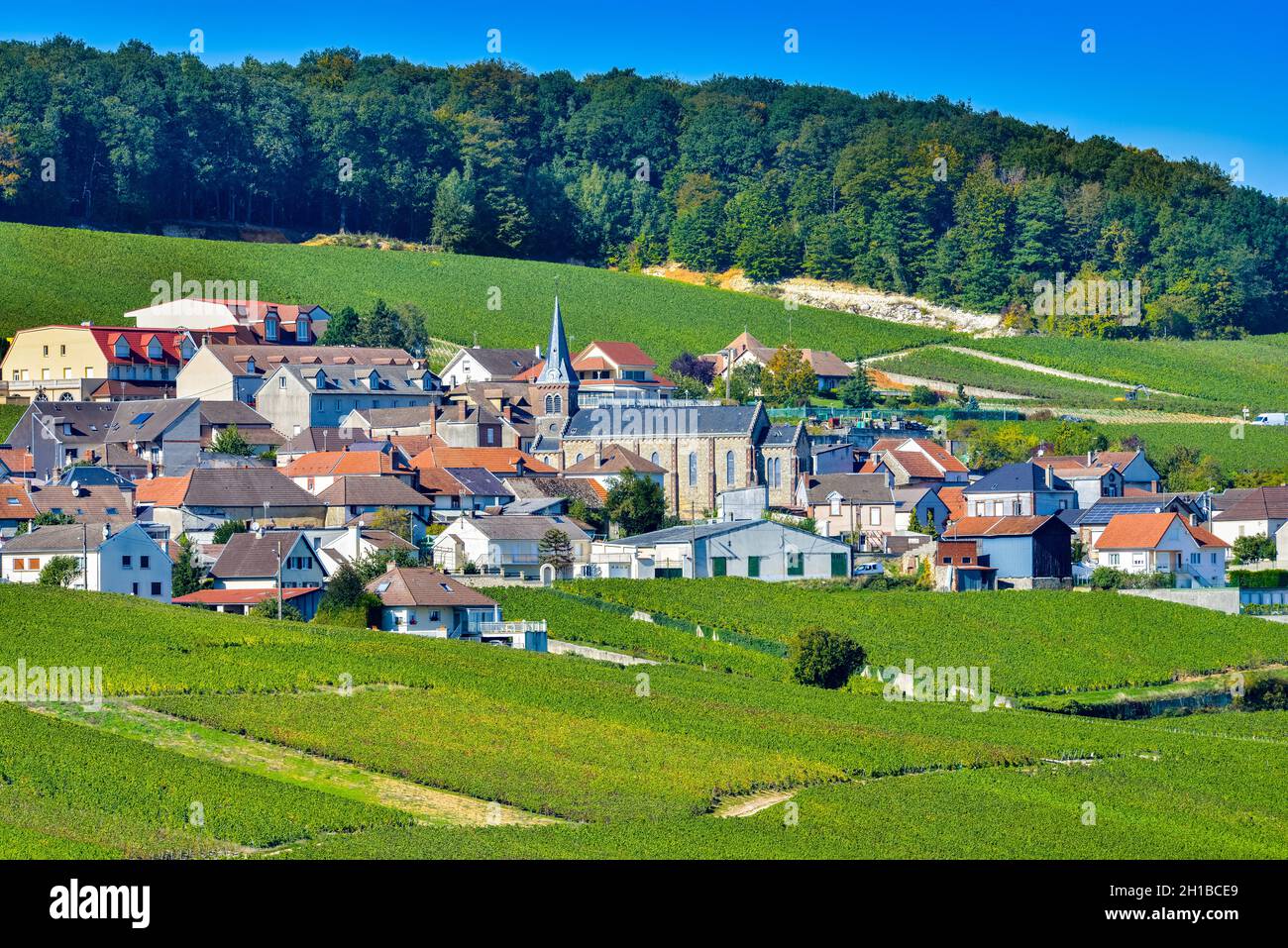 FRANCE, MARNE (51) CHAMPAGNE REGION. MANCY VINEYARD Stock Photo - Alamy