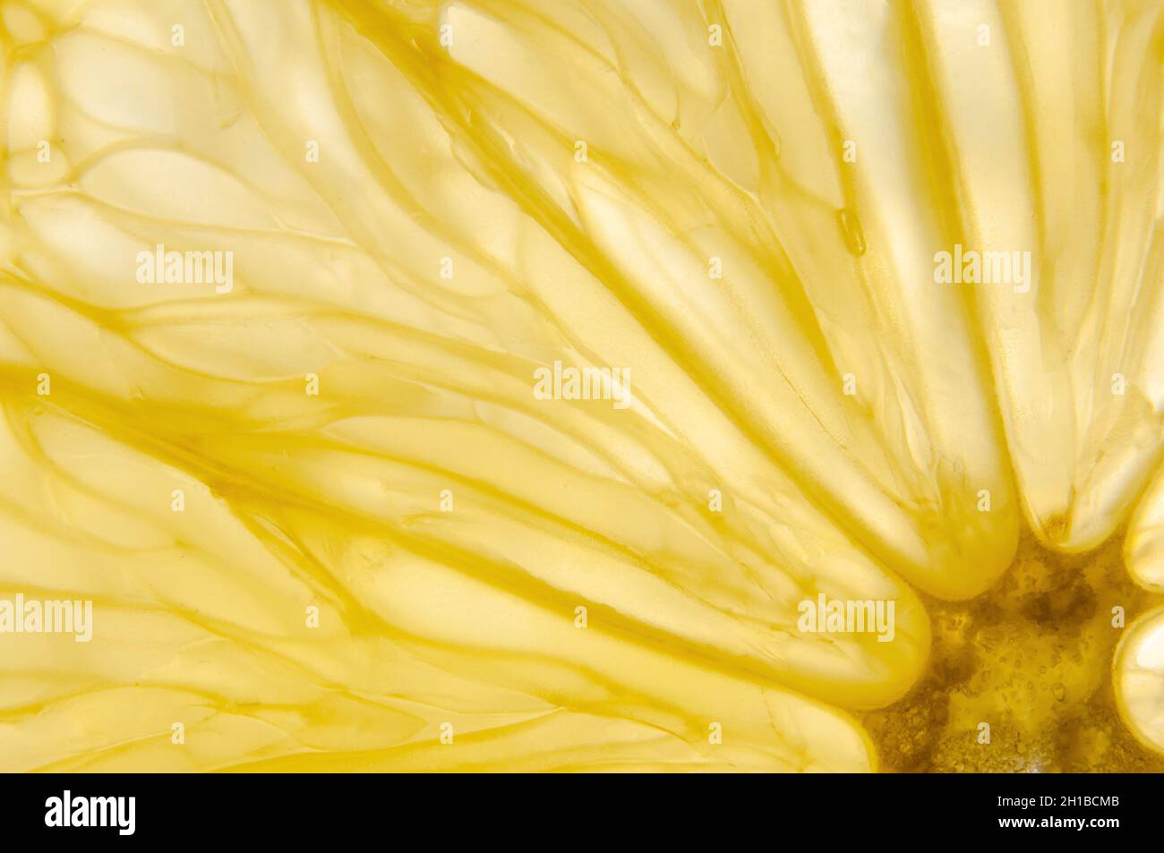 macro photo of slice of lemon. Abstract nature background Stock Photo ...
