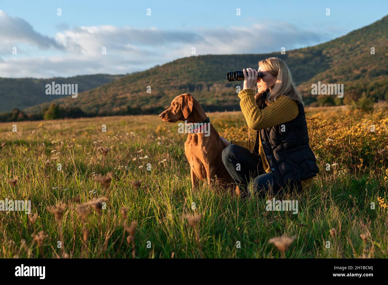 Hunter pointing gun hi-res stock photography and images - Alamy