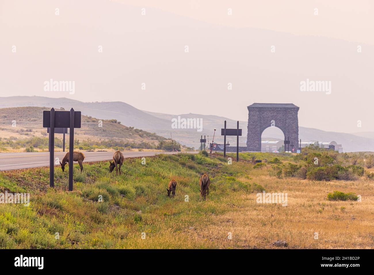 Yellowstone northern access hi-res stock photography and images - Alamy