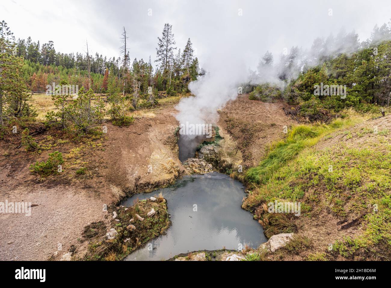 Dragon's Mouth Spring at Yellowstone National Park Stock Photo - Alamy