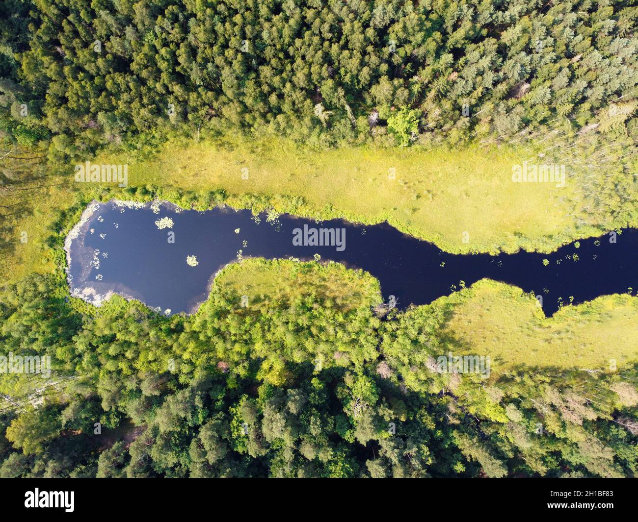 Lake shot straight down from the air resembles the earth surrounded by ...