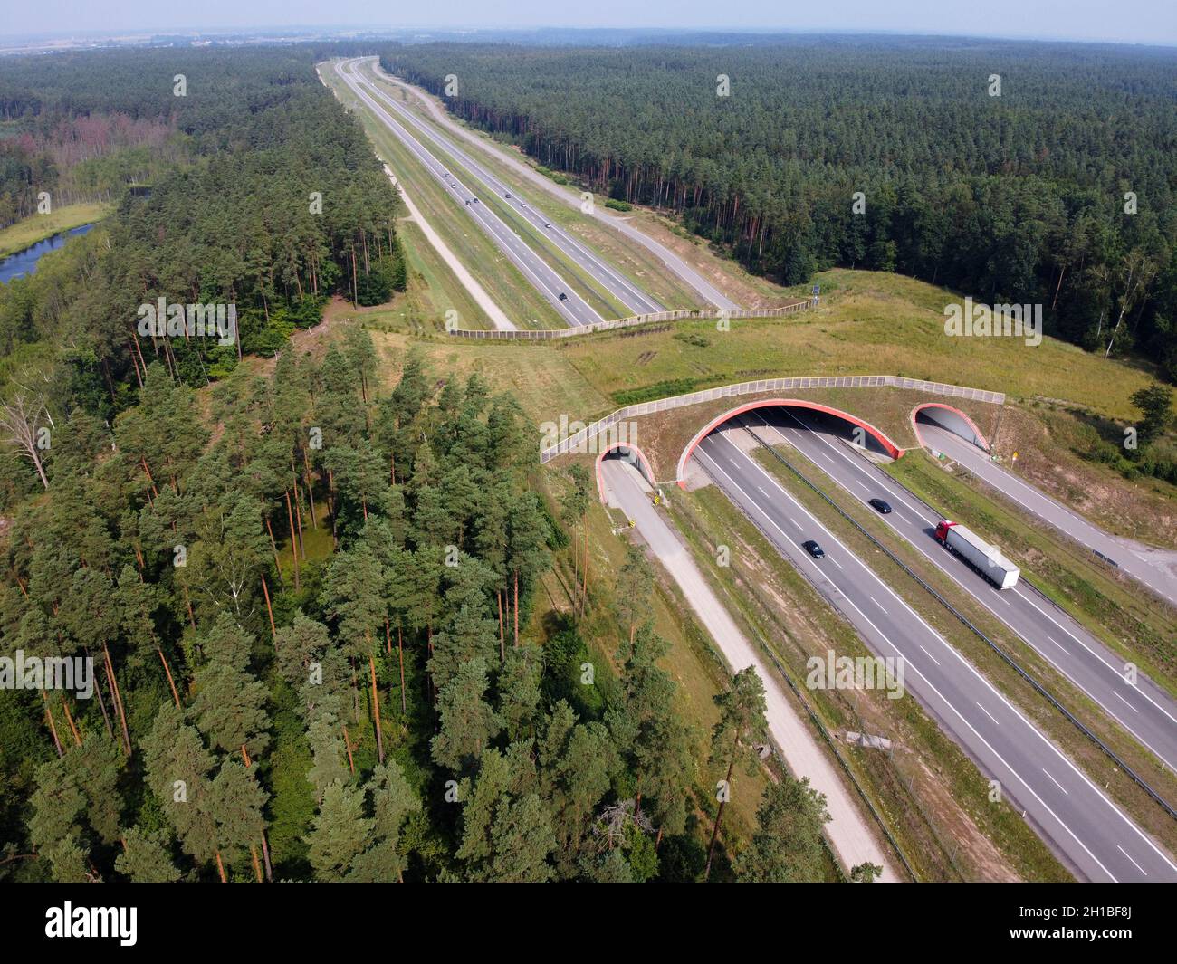 Expressway with ecoduct crossing - bridge over a motorway that allows ...