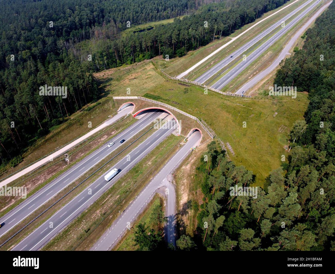 Aerial wildlife crossing also known as ecoduct or animal overpass Stock ...