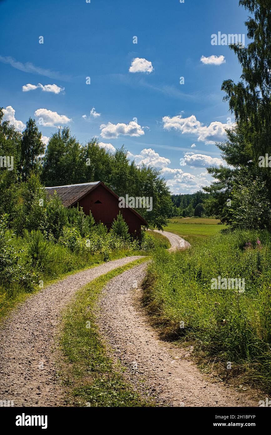 a path in smalland sweden through meadows, fields and forests. the ...