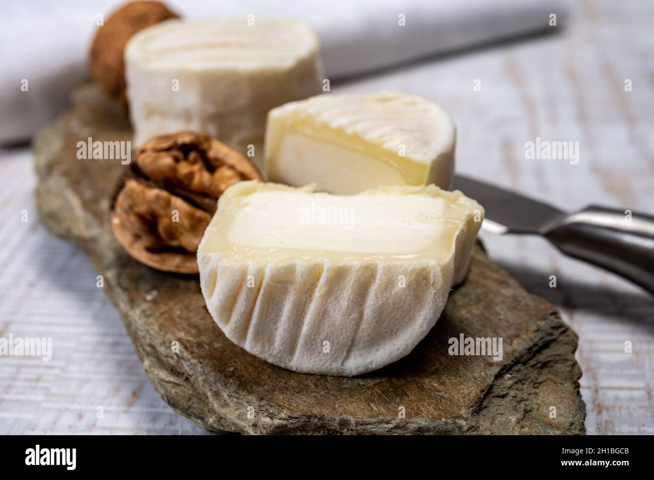 Cheese collection, soft goat French cheese with mold crottin de ...