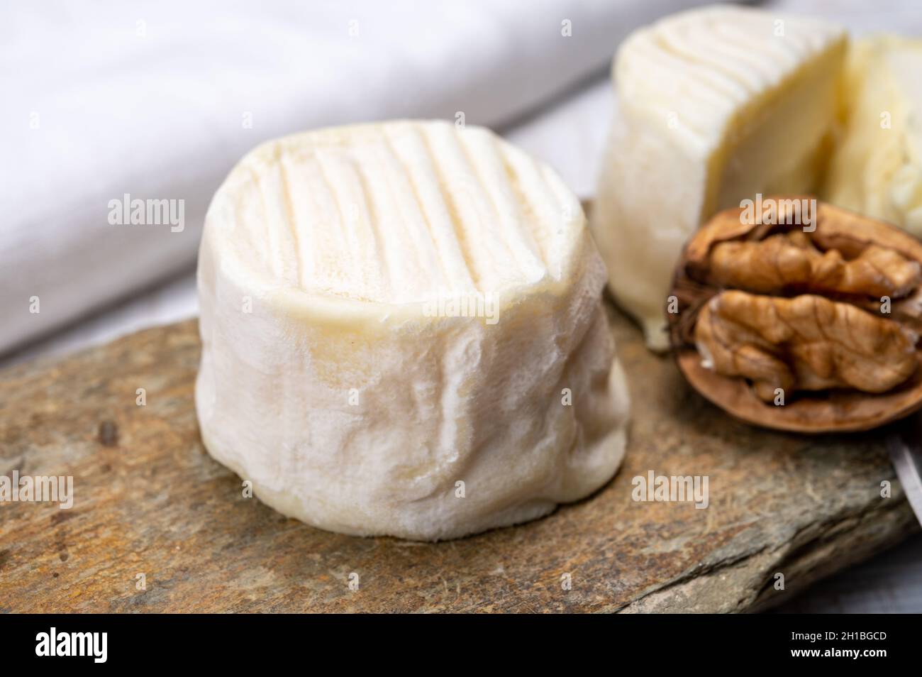 Cheese collection, soft goat French cheese with mold crottin de ...