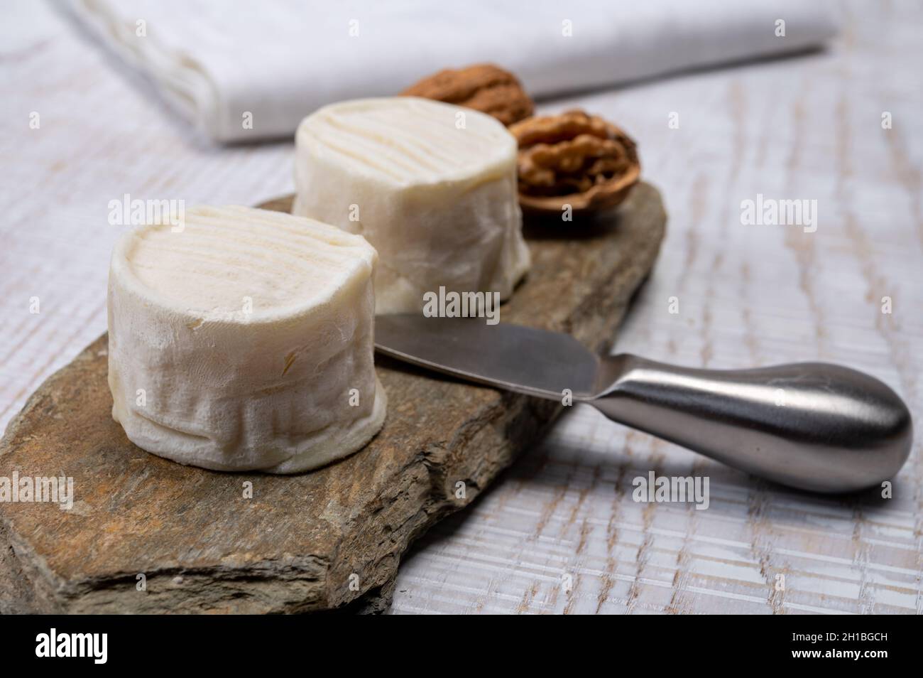 Cheese collection, soft goat French cheese with mold crottin de ...