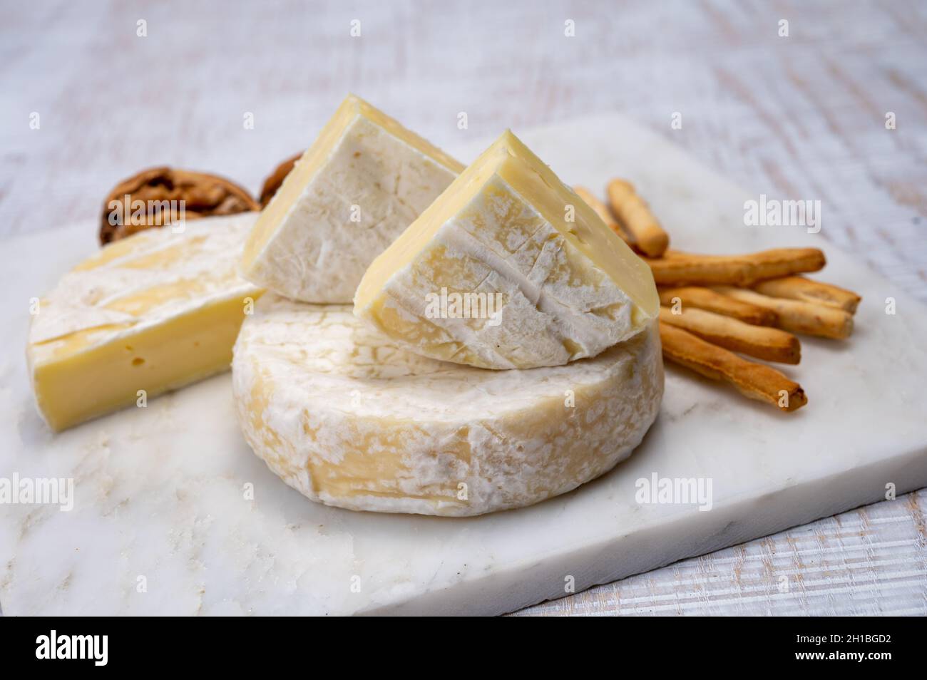 Cheese collection, fresh white soft cow cheese with mold from Swiss ...