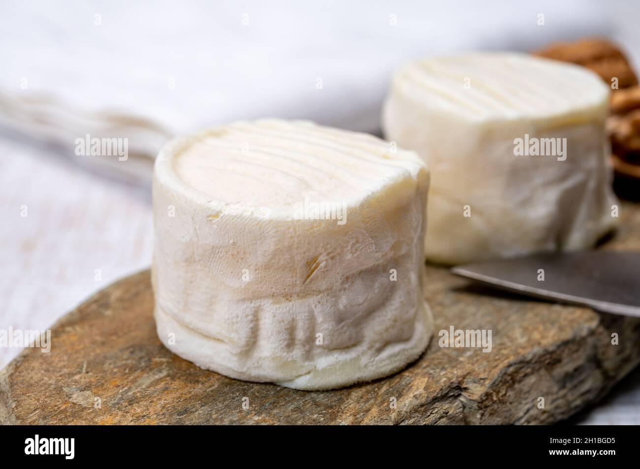 Cheese collection, soft goat French cheese with mold crottin de ...